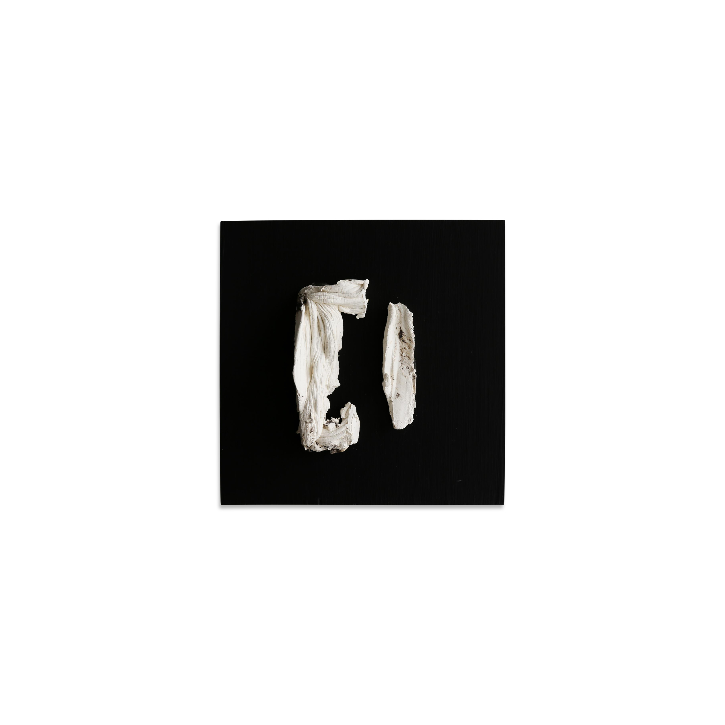 Jodi Walsh - Remnants Series Thirteen | exhibit art gallery