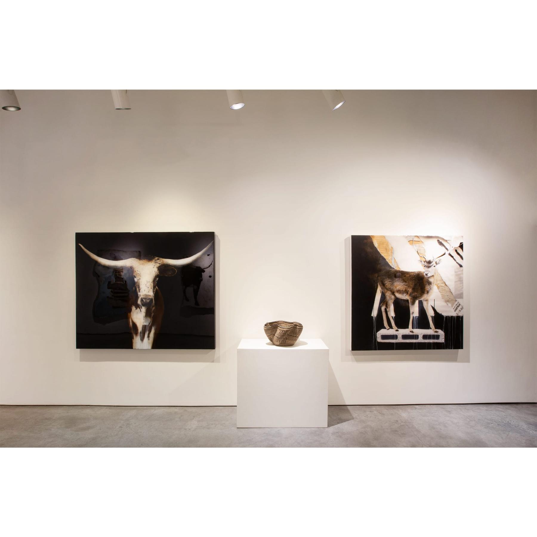 Kollabs | New Work | exhibit art gallery