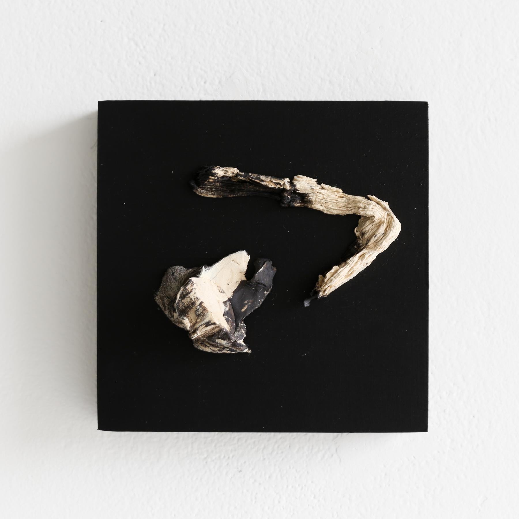 Jodi Walsh - Remnants Series Sixteen | exhibit art gallery