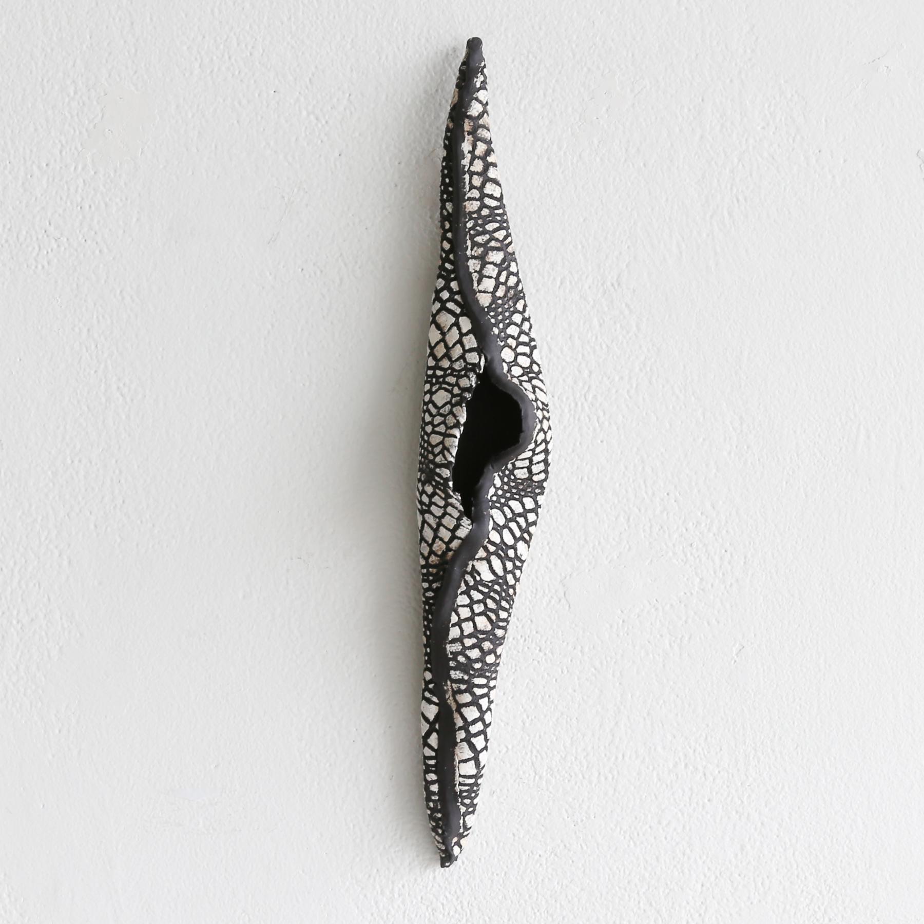 Jodi Walsh - Individual Seed Pod | exhibit art gallery