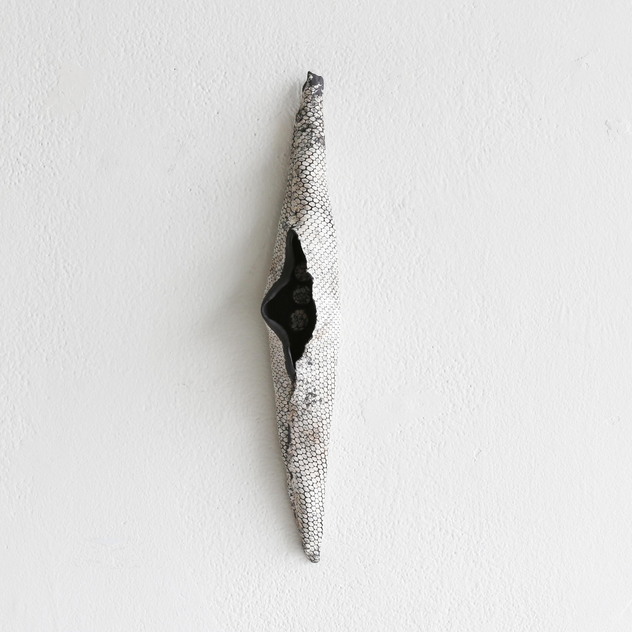 Jodi Walsh - Individual Seed Pod | exhibit art gallery