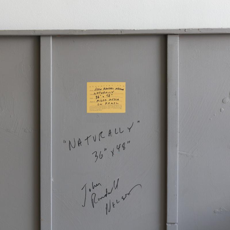 John Randall Nelson - Naturally | exhibit art gallery